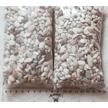 Jual Batu Pancawarna | Koral Kerikil Kecil | Batu Hias Taman Aquarium Aquascape | Shopee Indonesia