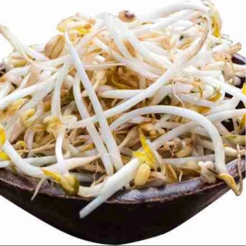 Jual tauge per 100 gram (pre order) | Shopee Indonesia