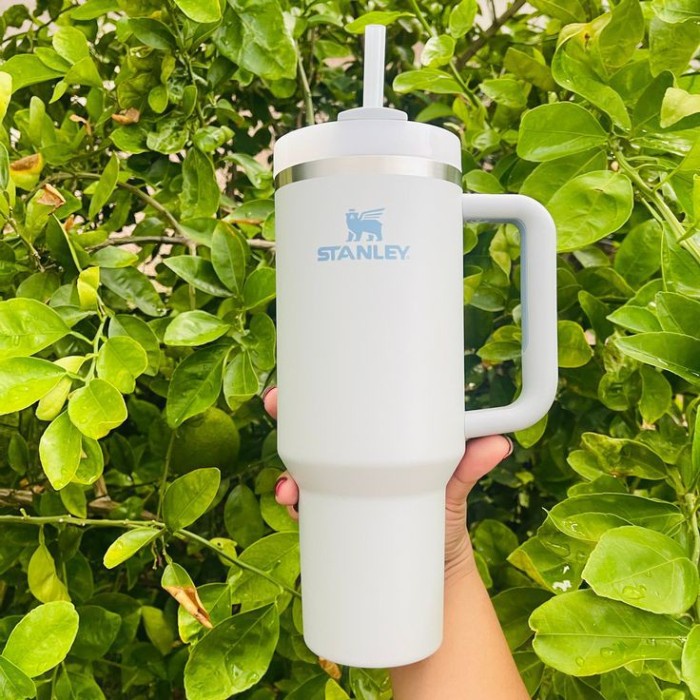 Jual Stanley Flow State Quencher Tumbler Straw And Lid -Sherlyashope ...