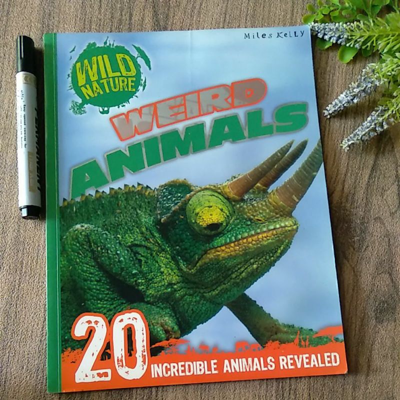 Jual Buku anak miles kelly preloved weird animals 20 incredible animals ...