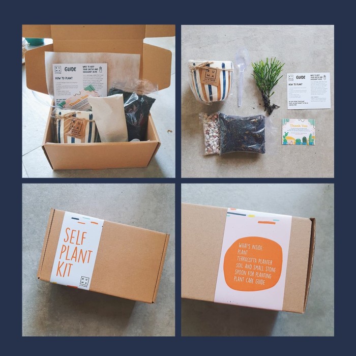Jual MUST HAVE!! KUMA LIVING SELF PLANT KIT A TERLARIS | Shopee Indonesia