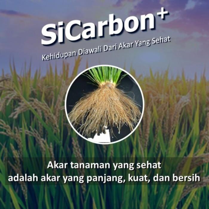 Jual Sicarbon Silica + Carbon 1 Kg Pupuk Silika Karbon Sikarbon Sillica ...