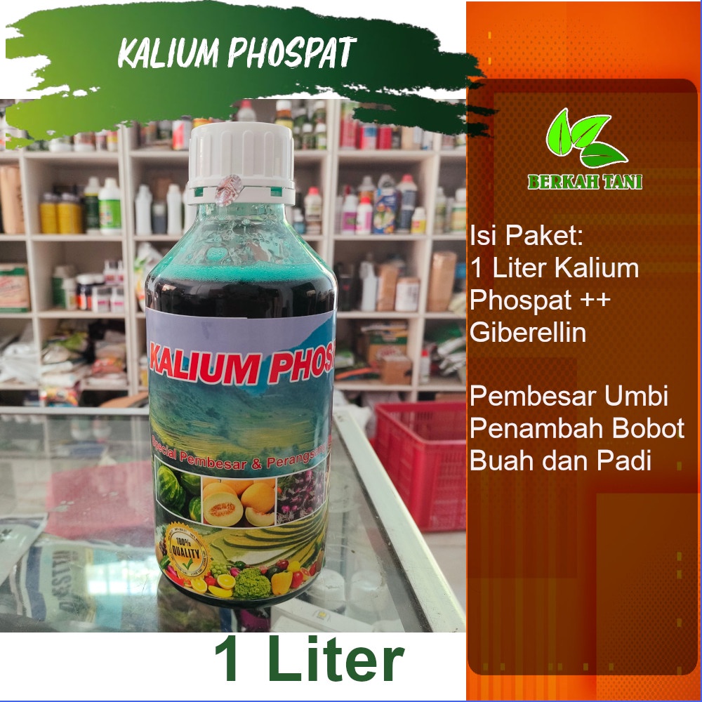 Jual Kalium Phospat 1 Liter Pupuk Pembesar Umbi Dan Penamba Bobot Padi ...