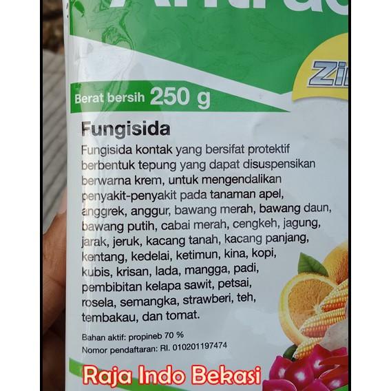 Jual Potong Harga Fungisida Antracol 70 Wp 250 Gram Gr Obat Tanaman ...
