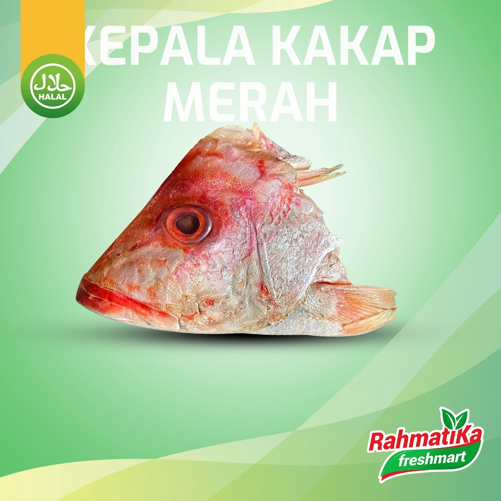 Jual Kepala Ikan Kakap Merah 1 pcs | Shopee Indonesia