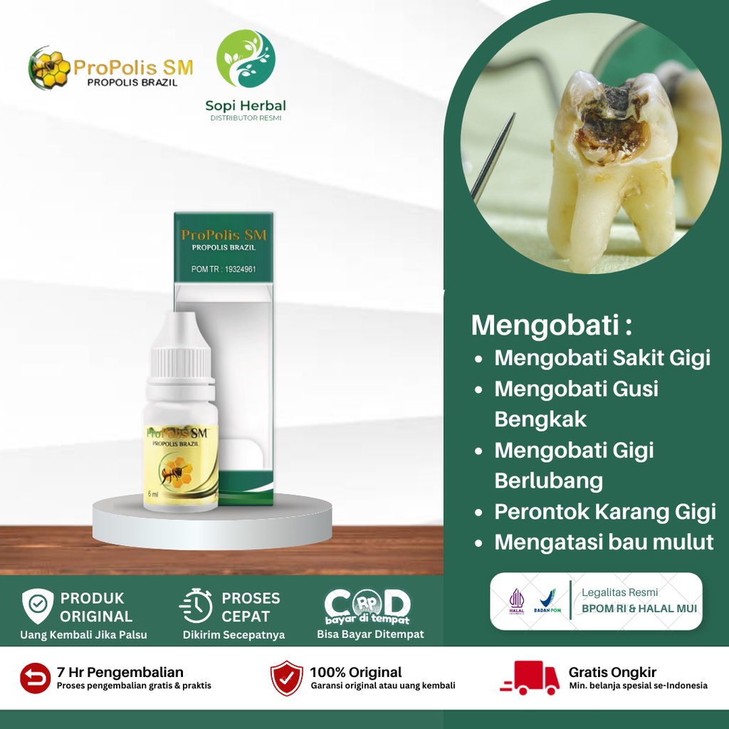 Jual Obat Sakit Gigi Berlubang, Obat Herbal Perontok Karang Gigi ...