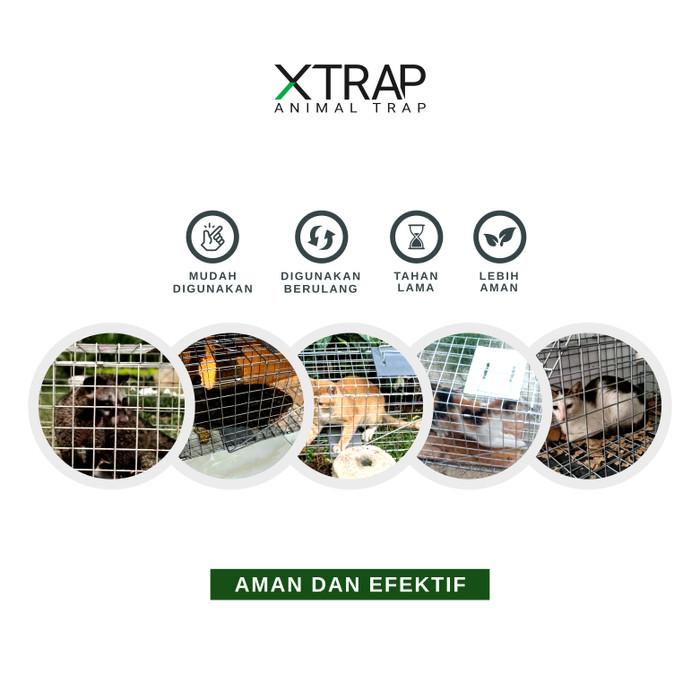 Jual Perangkap Kucing Liar Dan Musang Xcat Classic Model | Shopee Indonesia