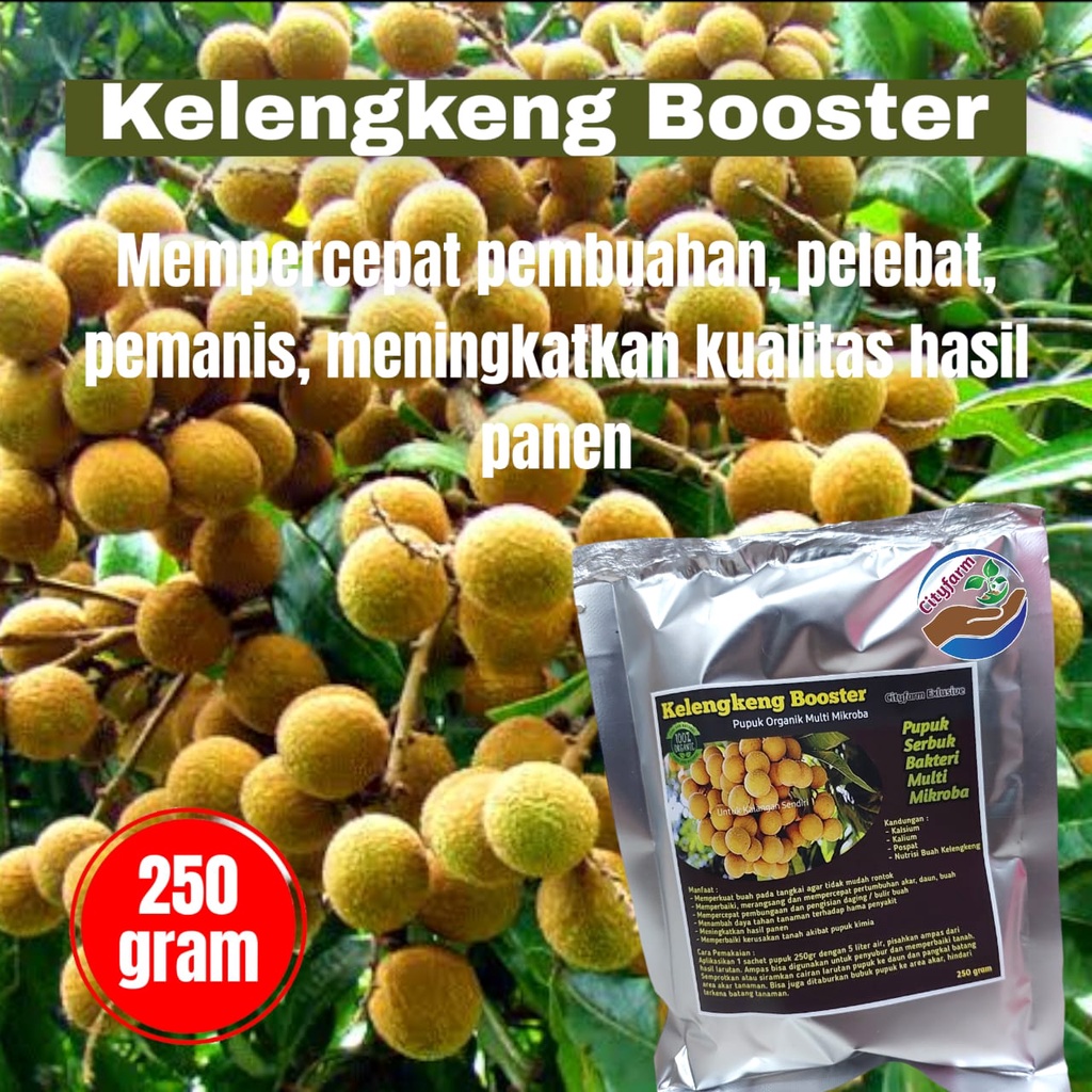 Jual Pupuk Organik Booster Kelengkeng Kualitas Super Pelebat Buah 250gr | Shopee Indonesia