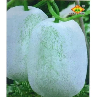 Jual Labu Cina Terlengkap & Harga Terbaru Agustus 2024 | Shopee Indonesia