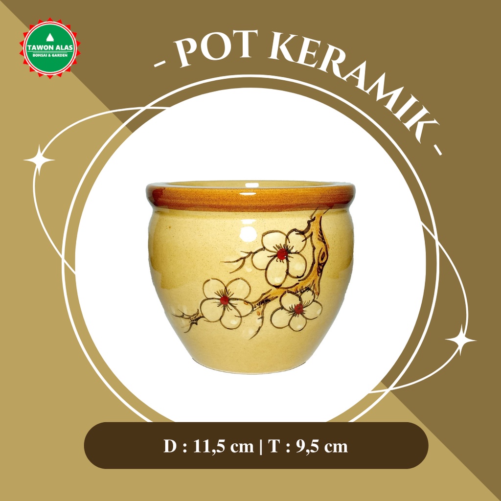 Jual Pot Keramik Bonsai Bunga Bulat Unik | Shopee Indonesia