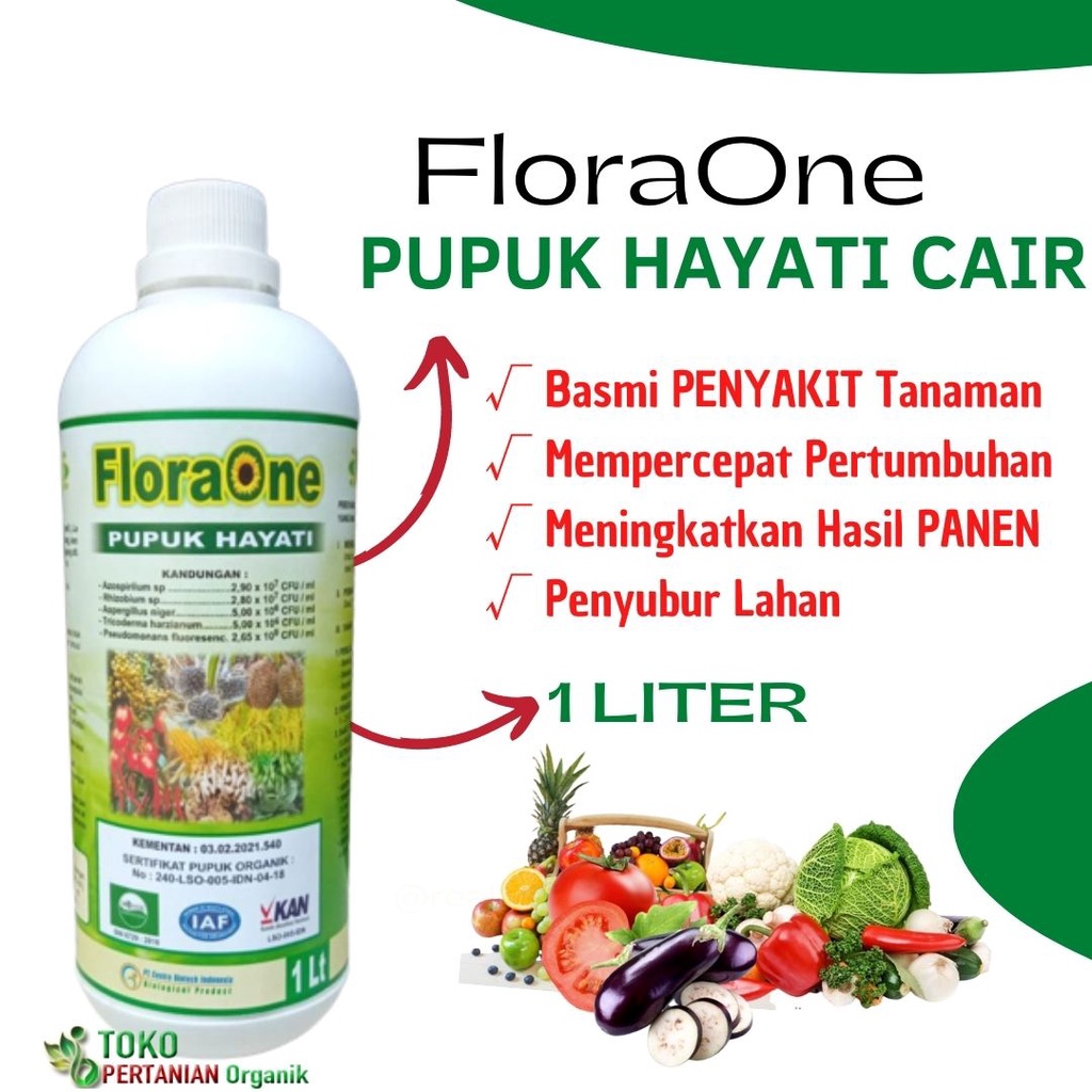Jual PUPUK HAYATI obat layu fusarium cabe, Fungisida Tricoderma Floraone Cair Busuk Buah pada ...