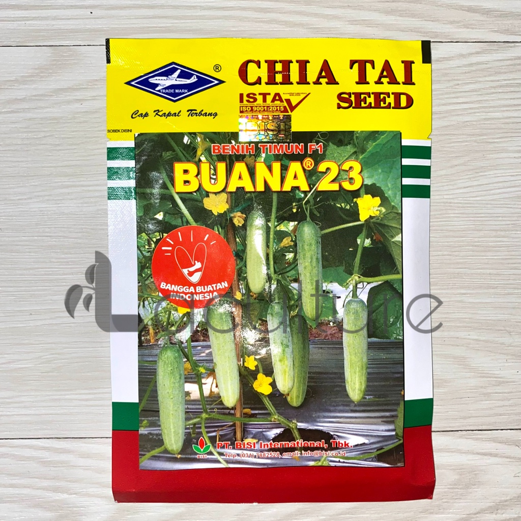Jual Benih Timun Mentimun BUANA 23 F1 Isi 20 gram Cap Kapal Terbang ...
