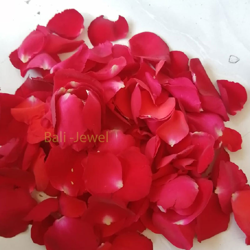 Jual Rose Petals / Kelopak Bunga Mawar Asli Segar | Shopee Indonesia