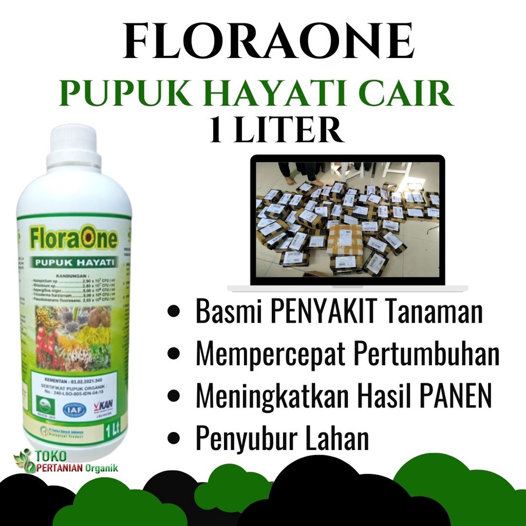 Jual Pupuk Tricoderma Cair Cegah Layu Fusarium Pisang, Obat Fungisida Hayati Trichoderma Cegah ...