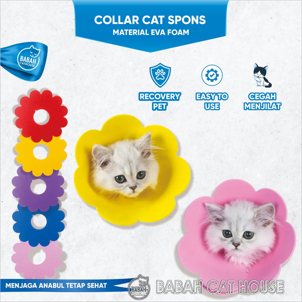 Jual COLAR EVA SPONS Bunga untuk Kucing Anjing Pet Cat Dog Collar ...