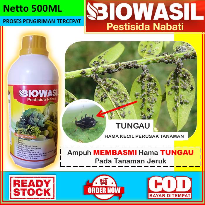 Jual OBAT ANTI HAMA TUNGAU UNTUK TANAMAN JERUK [BIOWASIL] Obat Cair ...