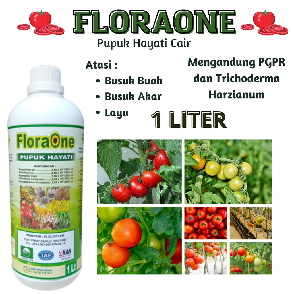Jual Pupuk Tomat Berbuah Lebat, Obat Tomat Keriting, Pupuk Cair Untuk ... Jual Pupuk Tomat Berbuah Lebat, Obat Tomat Keriting, Pupuk Cair Untuk ...