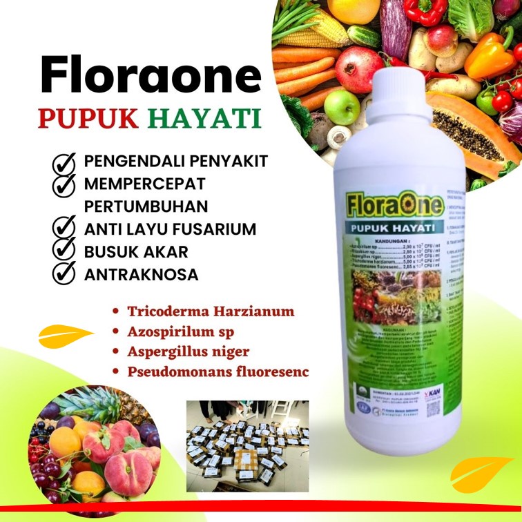 Jual Pupuk Tricoderma Untuk Busuk Akar Batang Buah, Fungisida Hayati Trichoderma, Floraone Pupuk ...