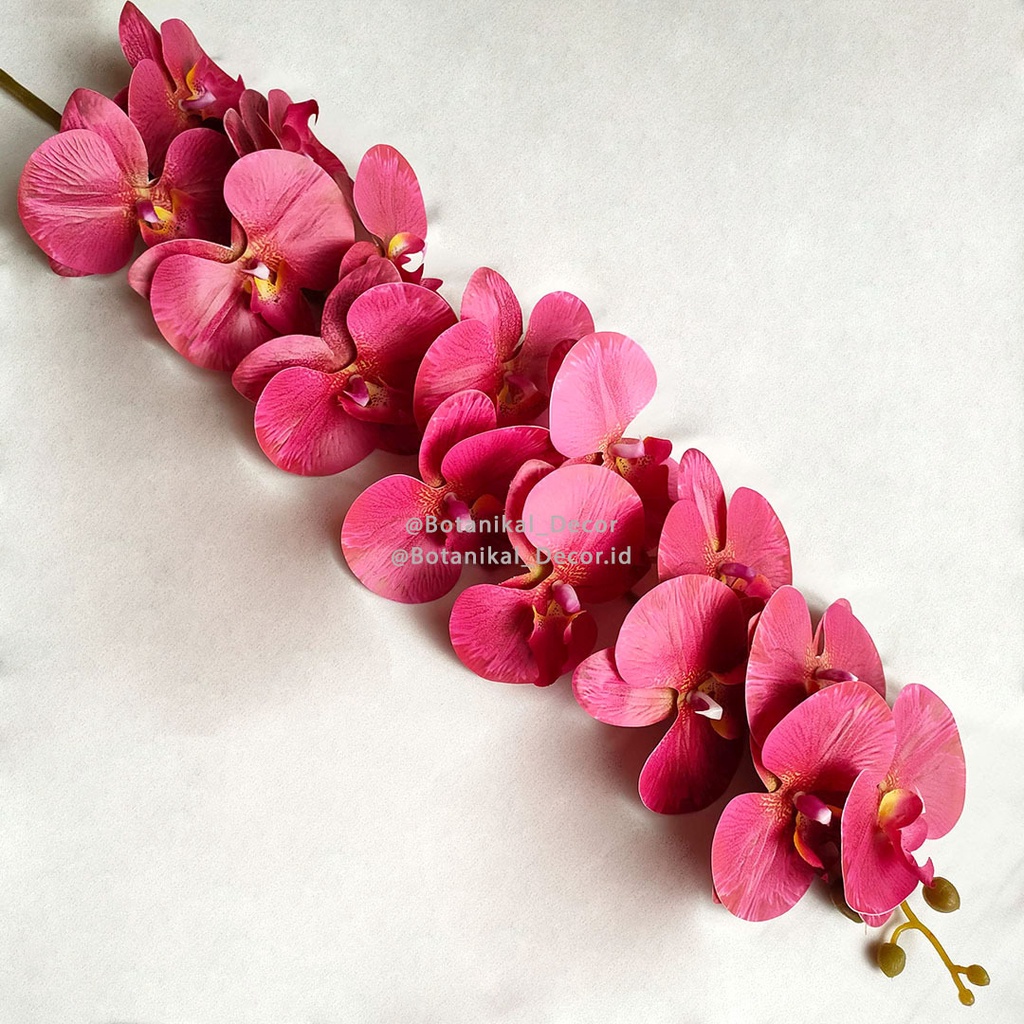 Jual Jumbo 15Kuntum Real Touch Large Orchid Bunga Anggrek Latax Premium ...
