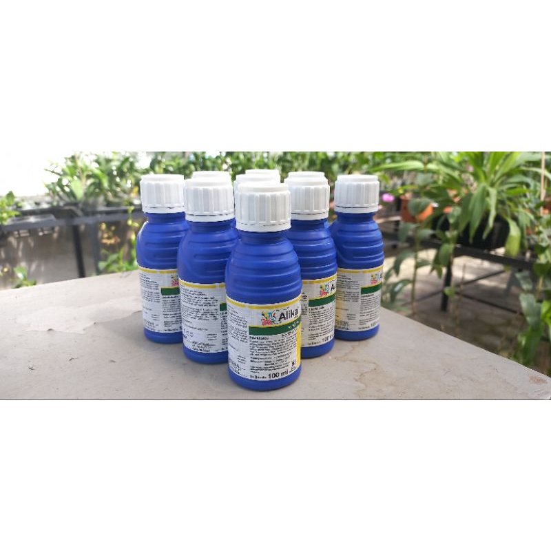 Jual Alika (insektisida) Antracol (fungisida) | Shopee Indonesia
