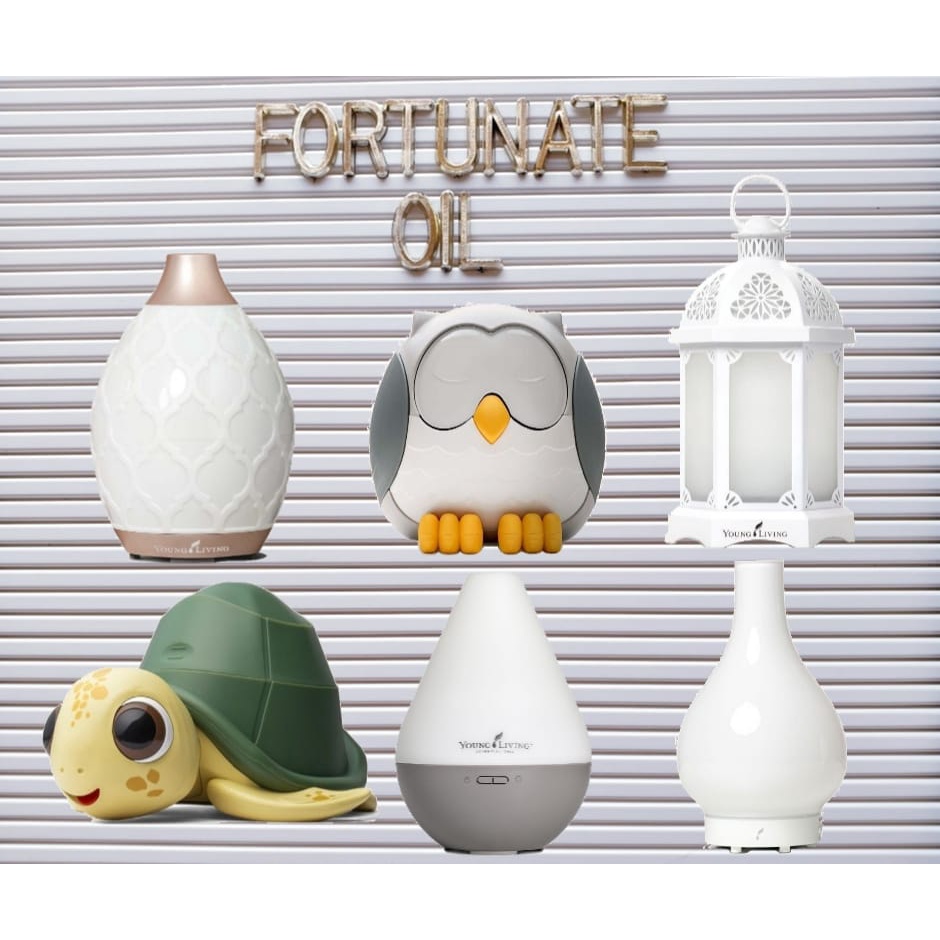 Jual Siap KIRIM Young Living! Diffuser Young Living 2kg (Desert Mist ...