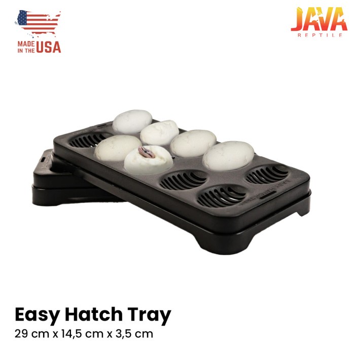 Jual Boxe Easy Hatch Tray Inkubasi Telur Bp Ball Python Reptil Reptile ...