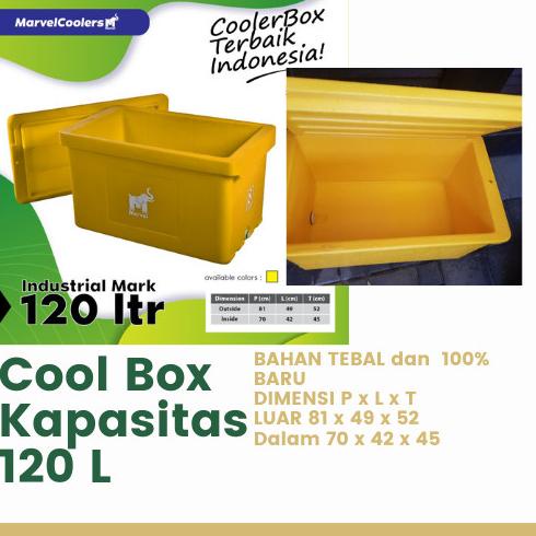 Jual Cooler Box Ice 200 Liter / Coolbox Cool box Kotak Pendingin es 220 ...