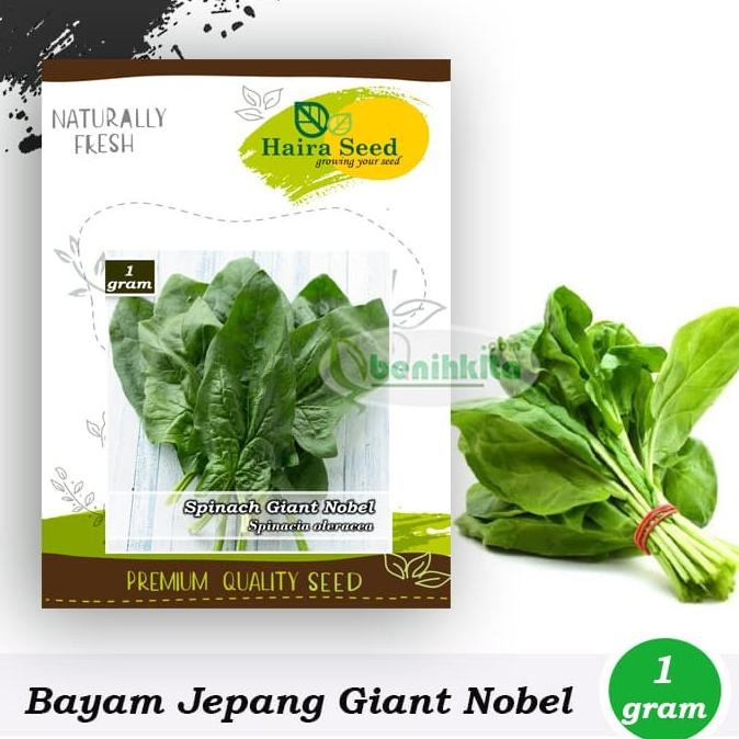 Jual Benih-Bibit Bayam Jepang Giant Nobel (Haira Seed) | Shopee Indonesia