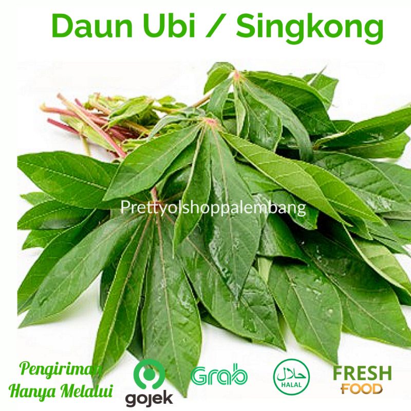 Jual [PALEMBANG] DAUN UBI /SINGKONG 1 IKAT - SAYUR BUAH IKAN SEGAR ONLINE PRETTY OLSHOP ...