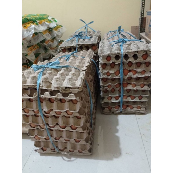Jual 1 ikat Telur Ayam Negeri Omega (15kg) | Shopee Indonesia