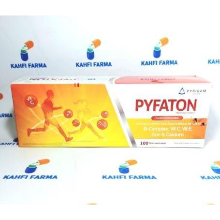 Jual Pyfaton Suplemen Multivitamin dan Mineral - 100 Kaplet | Shopee ...