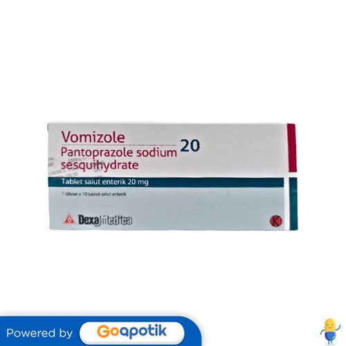 Jual VOMIZOLE 20 MG BOX 10 TABLET | Shopee Indonesia