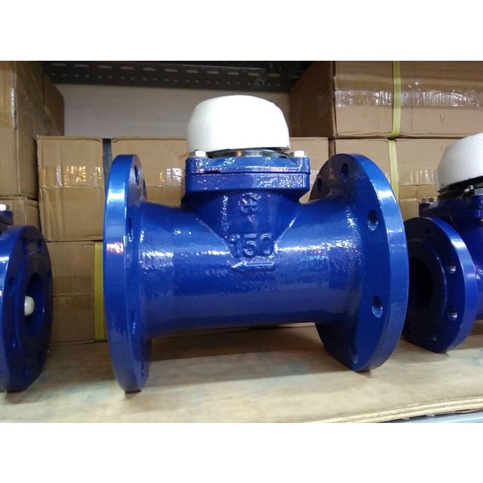 Jual Water Meter Amico 6 Inch Flange / Flow Meter / Meteran Air Dn150 ...