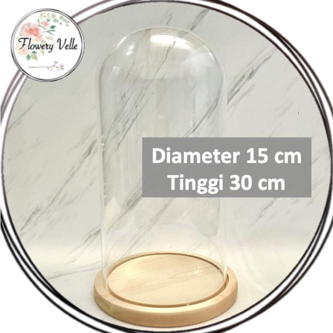 Jual Glass Dome Besar Kubah Kaca Flower Dome Jar Kosong Display Box ...