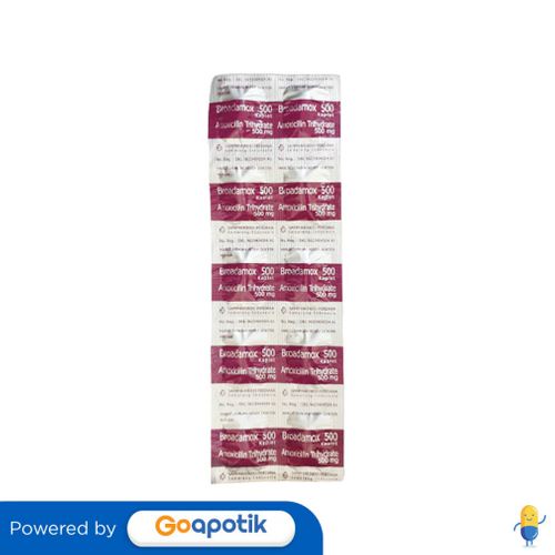 Jual BROADAMOX 500 MG STRIP 10 KAPLET | Shopee Indonesia