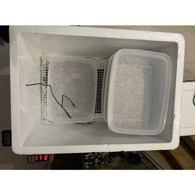 Jual incubator ball python /incubator reptile /inkubator reptil ...
