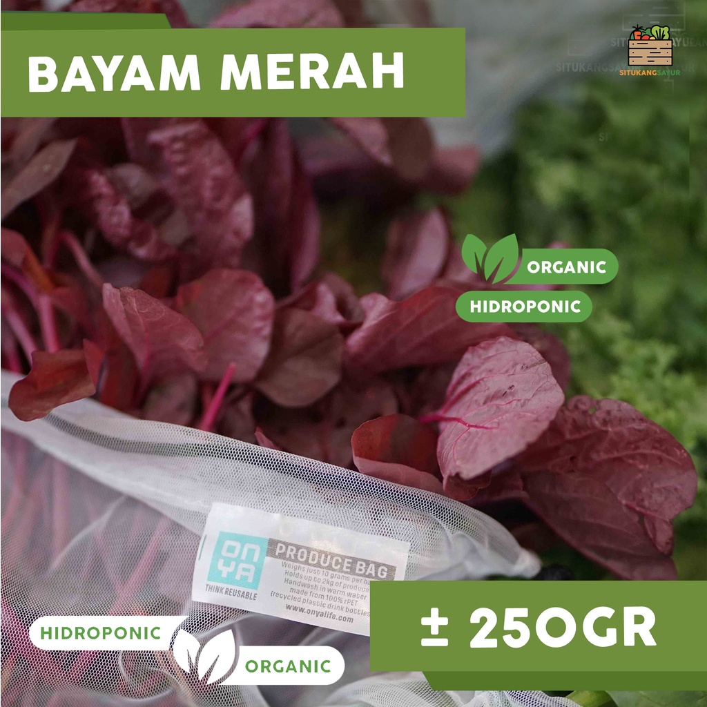 Jual Sayur Bayam Merah Organik | 250gr (Kota Bandung & Sekitar ...