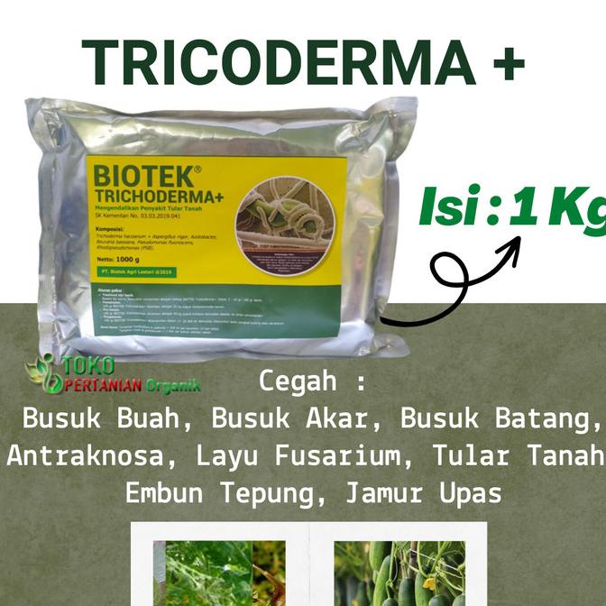 Jual Biotek Trichoderma+ 1 kg Cegah Busuk Buah dan Penyakit pada Terong ...