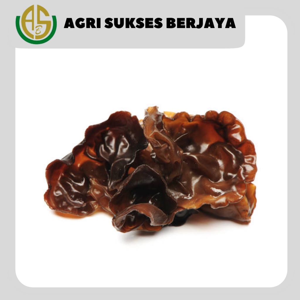 Jual Jamur Kuping / Lember - 250 Gram | Shopee Indonesia