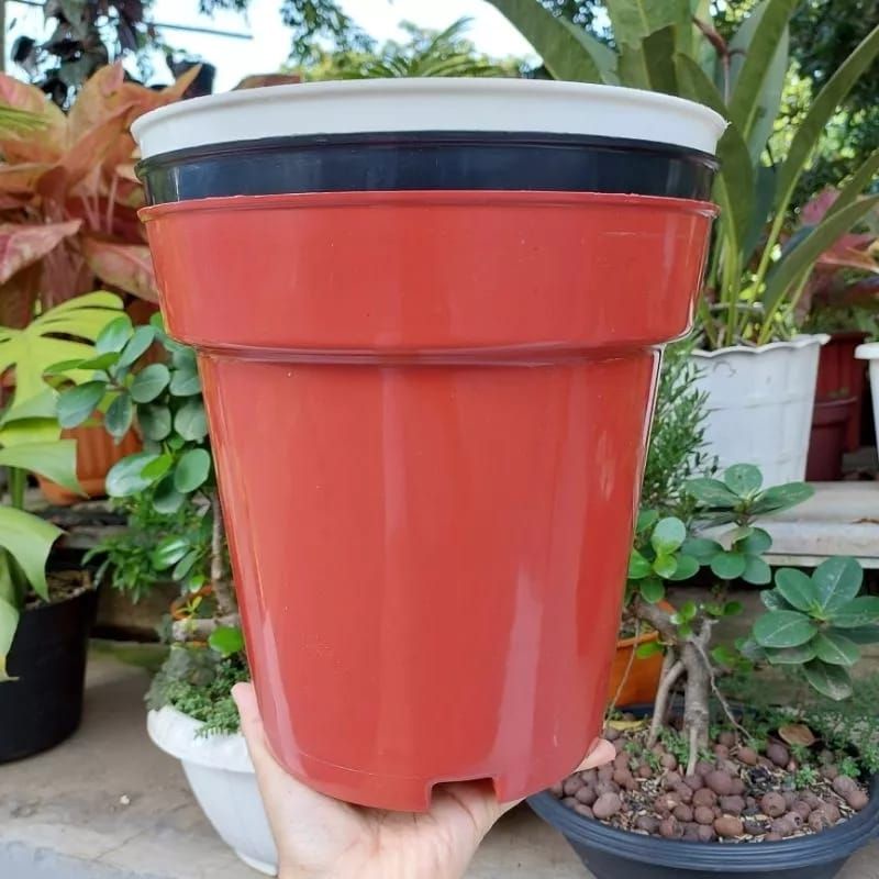 Jual (1pcs) POT SRONDOL 25 pot polos model tinggi srondol bahan tebal ...