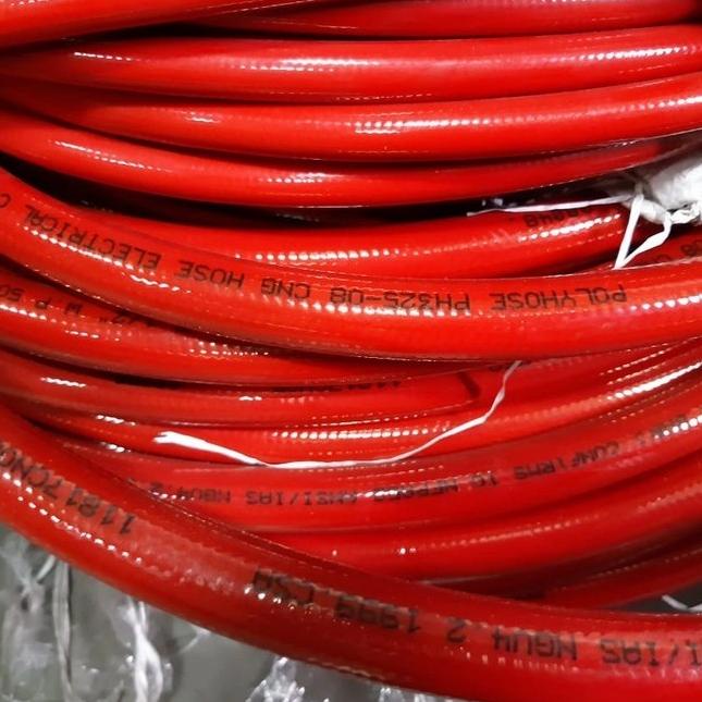 Jual Selang Gas Alam CNG POLYHOSE Assy 3/8" 500cm 345Bar X 0608MB (NPTM) | Shopee Indonesia