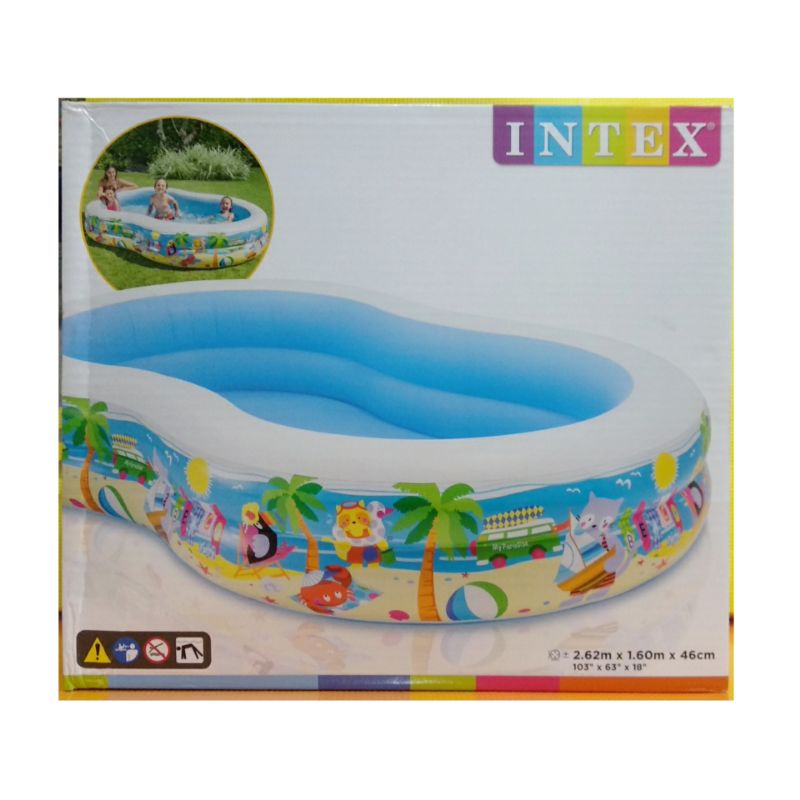 Jual Kolam renang Intex Family 56490 Paradise Pool(2.62m x 1.60m x 46 ...
