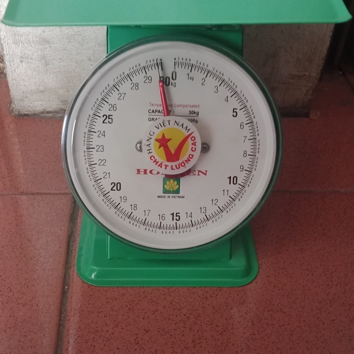 Jual Timbangan Duduk Jarum / Plat Vietnam Hoasen 30 kg | Shopee Indonesia