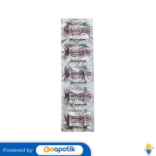 Jual THIAMPHENICOL BERNOFARM 500 MG STRIP 10 KAPSUL | Shopee Indonesia