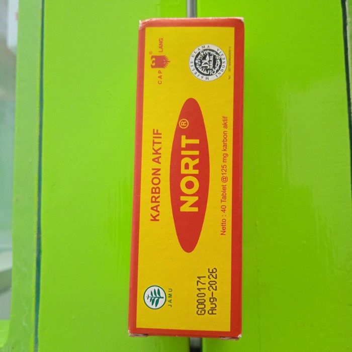 Jual Obat Diare Norit 40 tablet | Shopee Indonesia