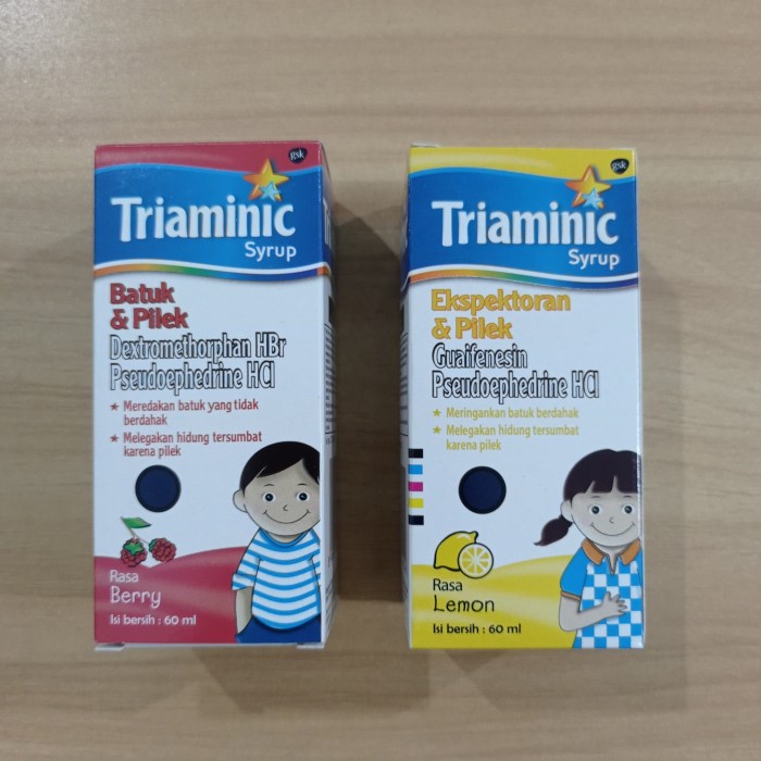 Jual Obat Batuk Pilek Anak Triaminic Syrup 60 ml multivarian - Batuk ...