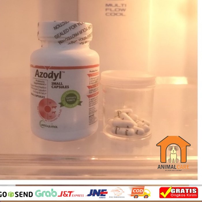 Jual MUST HAVE!! AZODYL OBAT GINJAL HEWAN. HARGA ECER PER 10 KAPSUL ...