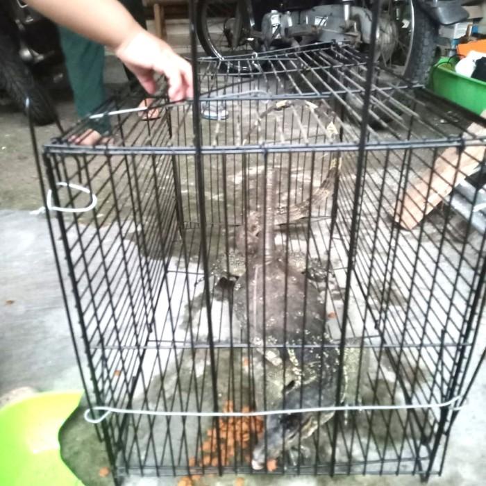 Jual Perangkap Musang | Kucing | Luwak | Shopee Indonesia