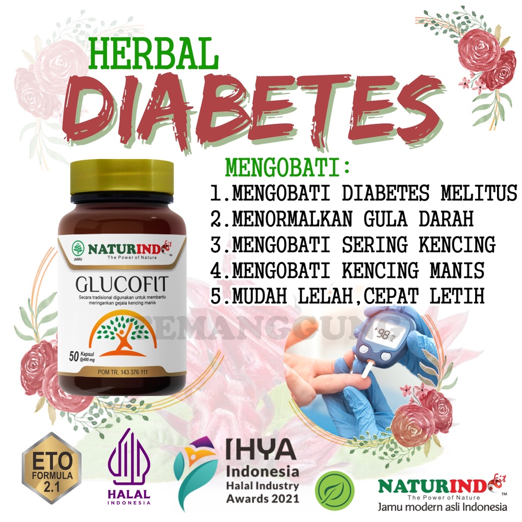 Jual Obat Diabetes Diabet Militus penurun gula darah Kering Basah ...
