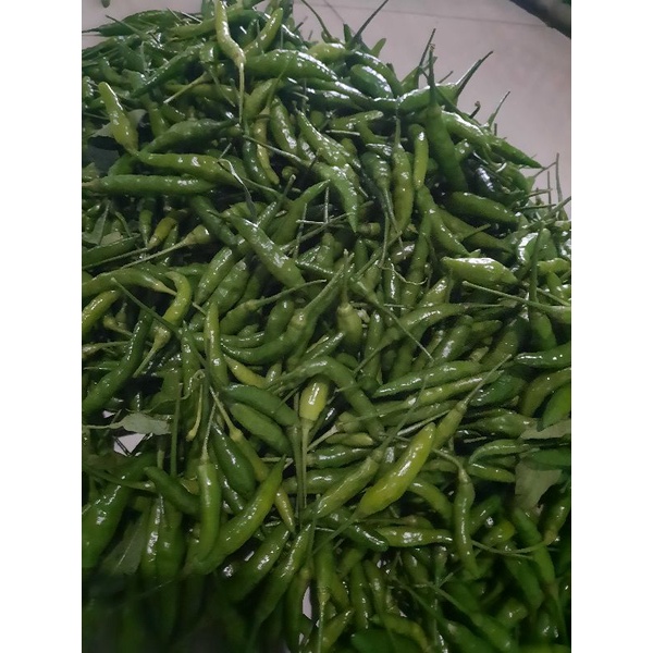 Jual cabai cabe rawit hijau segar 1kg | Shopee Indonesia